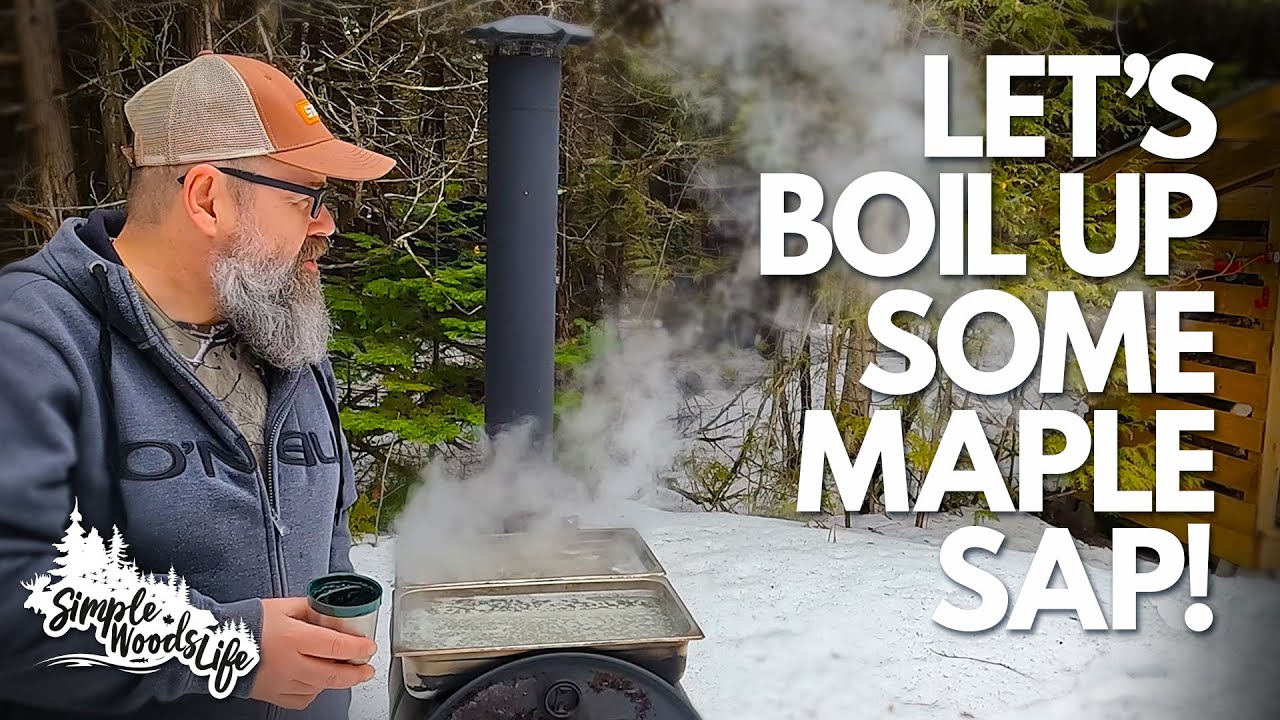 Saps on; First MAPLE SYRUP boil of 2023! - YouTube