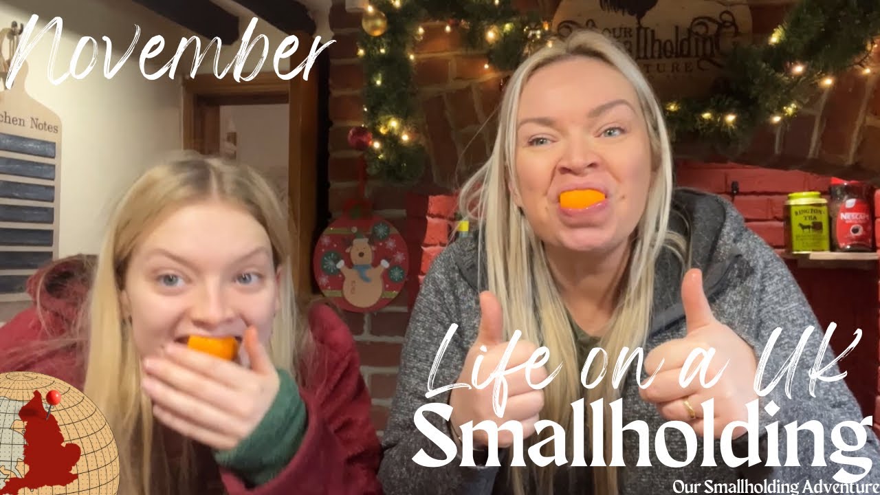 Smallholding Winter: Snow, Hand made Decorations & Lamb Stuffing! - YouTube
