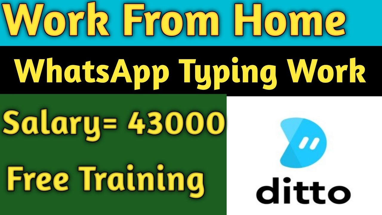 Ditto Hiring | Work From Home Jobs | Online Jobs At Home | Part Time ...