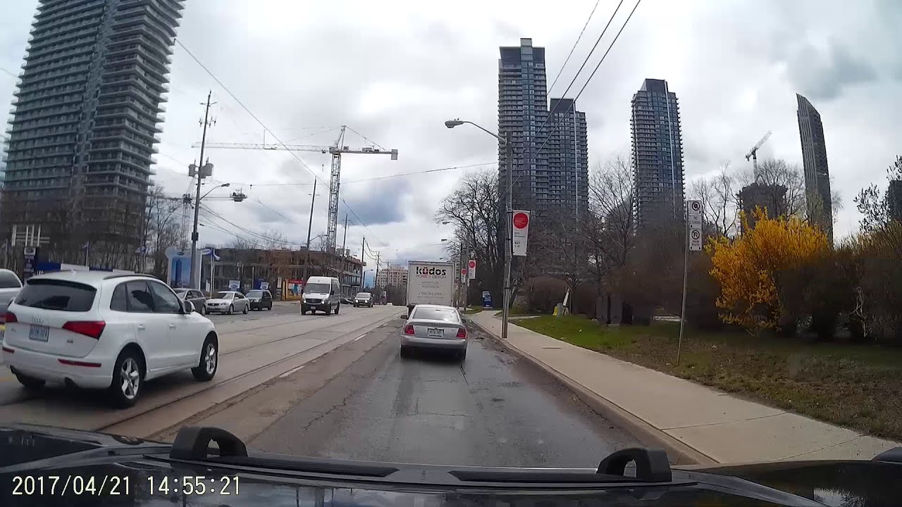 Coyote in Toronto Spotted - YouTube