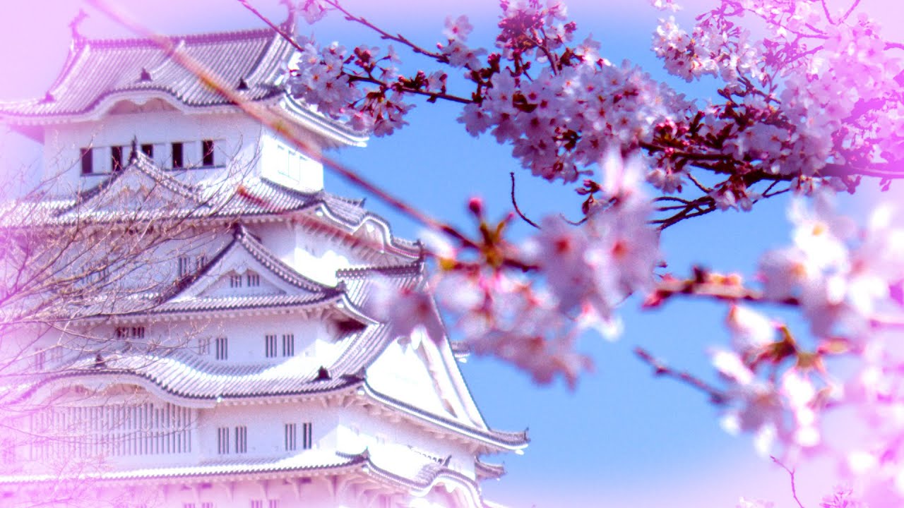 🇯🇵 Beautiful Sakura Spots 🌸 Hanami in Japan: Kyoto, Tokyo, Himeji ...