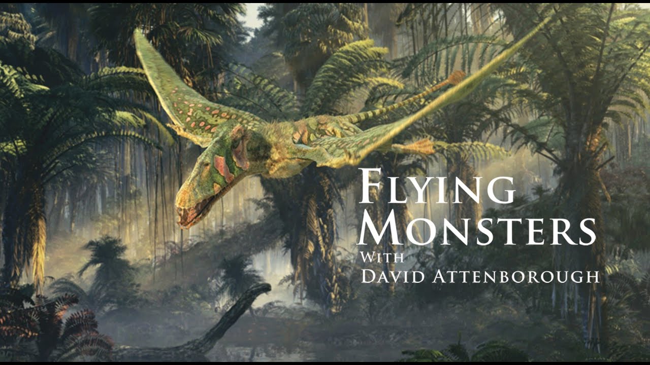 Flying Monsters with David Attenborough | Pterosaurs | Flying Reptiles ...