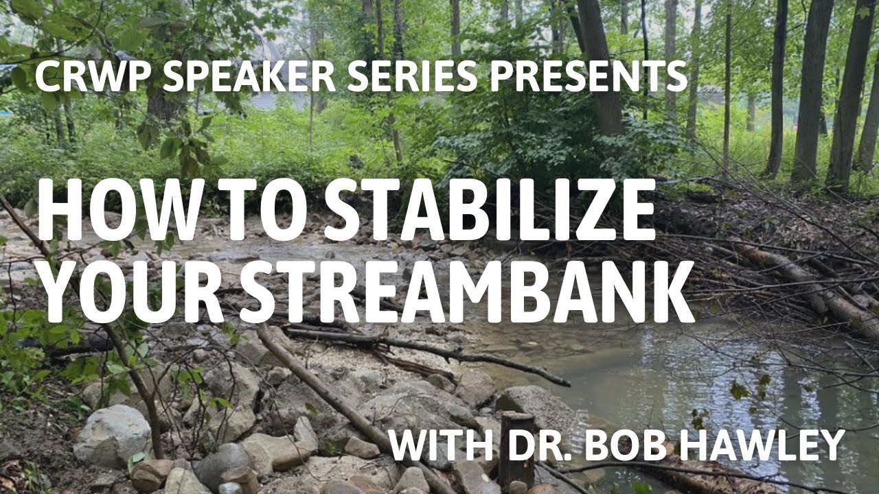 How To Stabilize Your Streambank: A Beginner’s Guide | CRWP Speaker ...