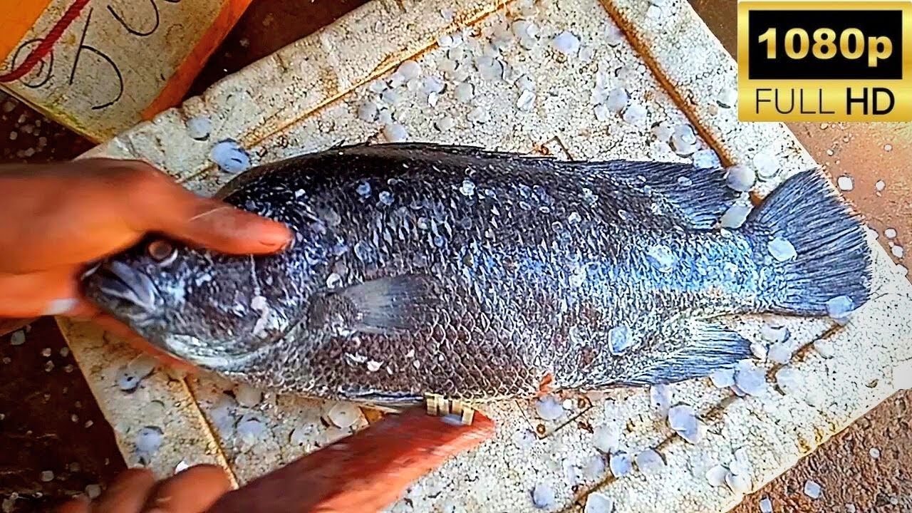 Koduva Fish Cutting And Slicing In Fish Market | Fish cutting expert ...