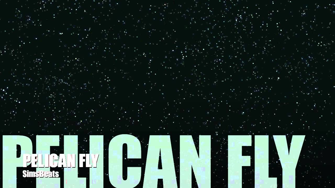 SuperBass Pelican Fly Nicki Minaj - YouTube