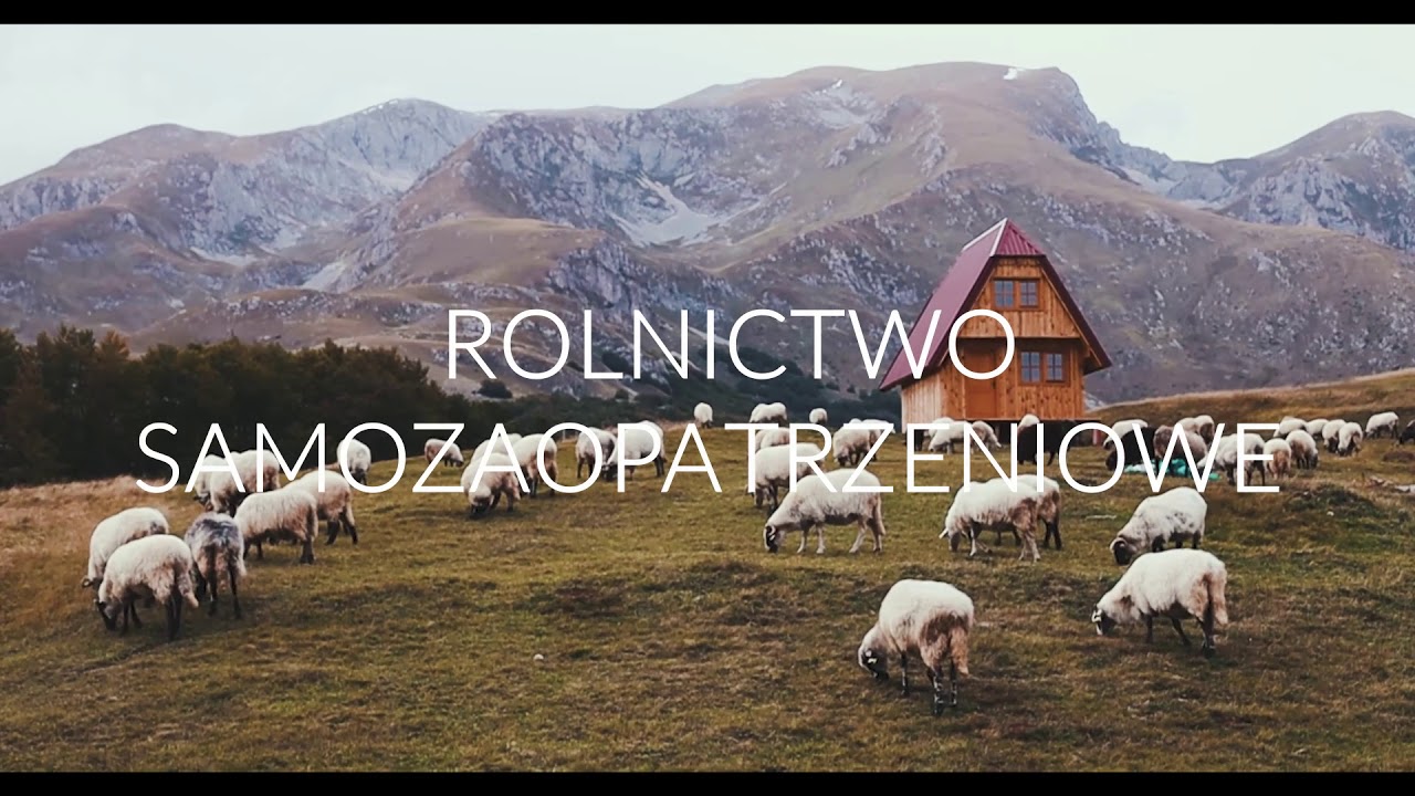 Typy rolnictwa - YouTube