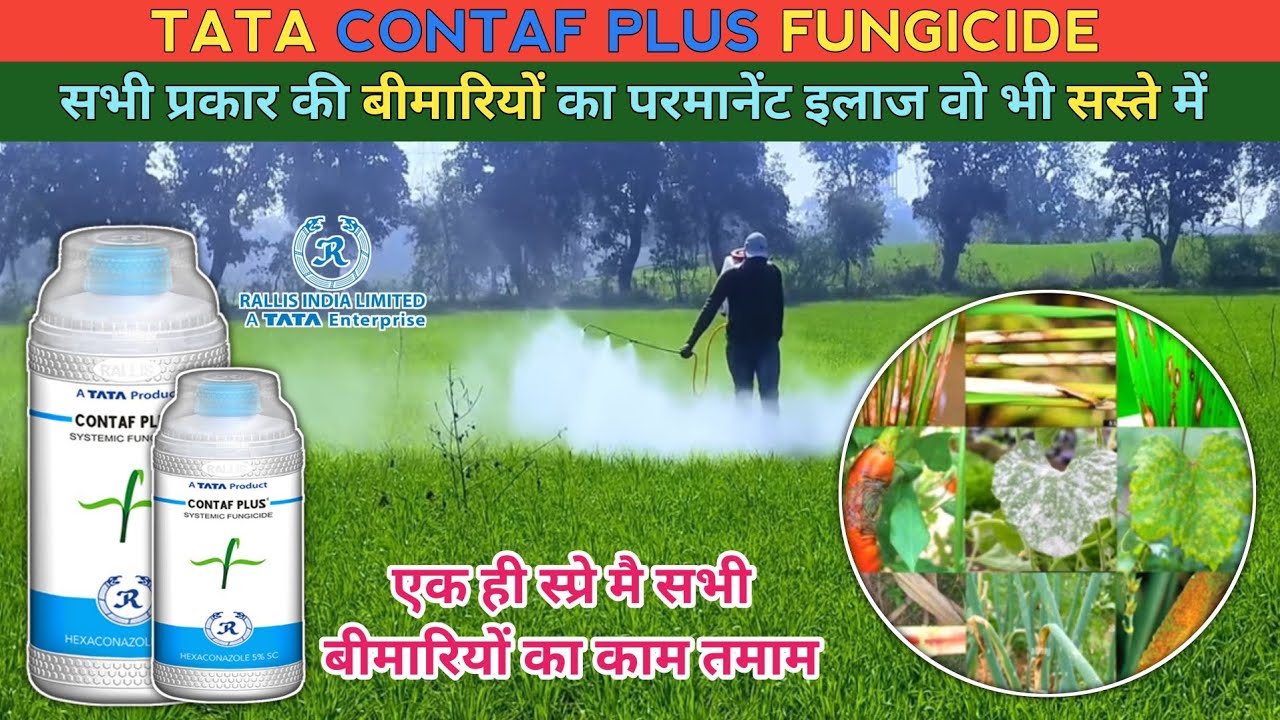 tata contaf plus | fungicide | Hexaconazol 5% e.c. | TATA RALLIS की ...