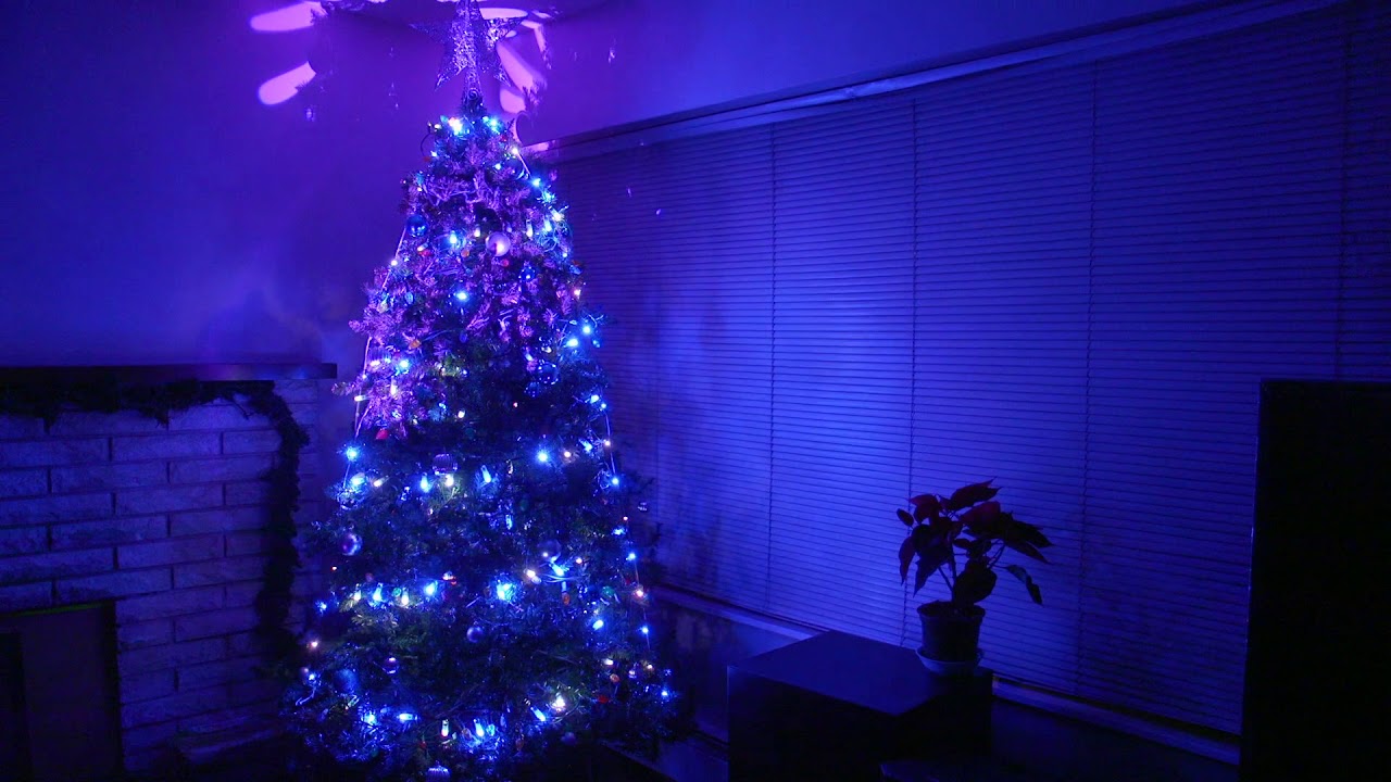 Christmas Tree Light Show - TSO Wizards in Winter - YouTube