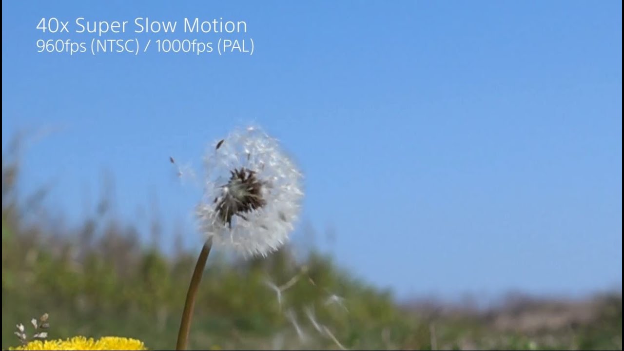 Super Slow Motion- Nature | RX100 IV & RX10 II | Sony | Cyber-shot ...
