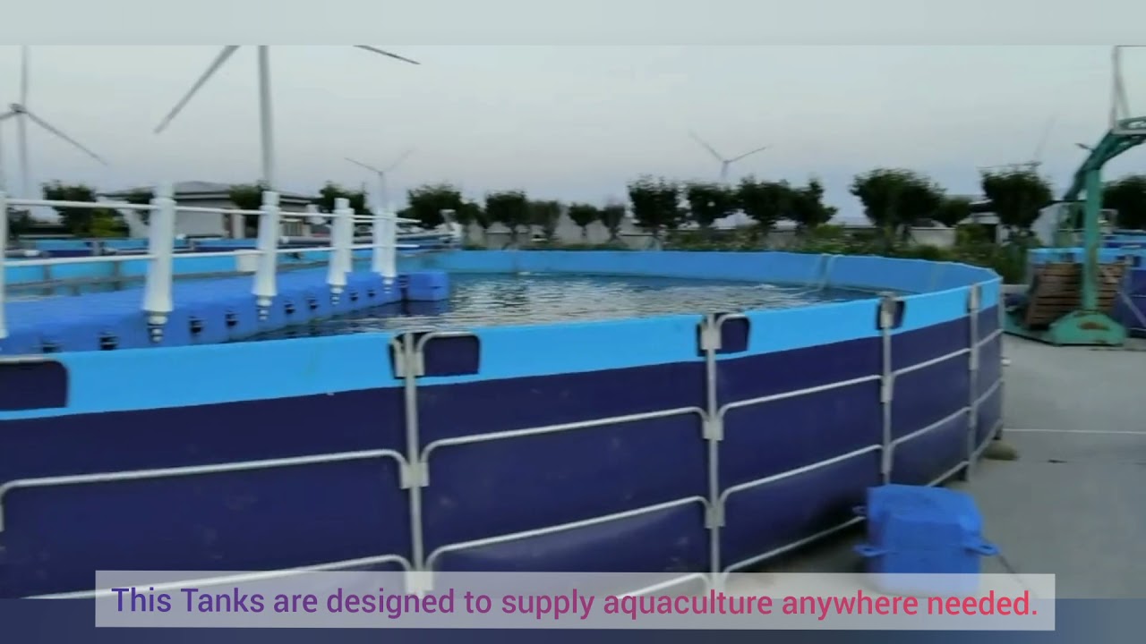 RAS SYSTEM FOR FISH FARMING - YouTube