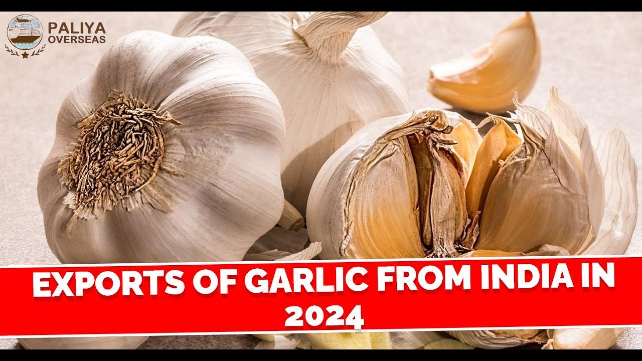 Exports of Garlic from India in 2024 | PALIYA OVERSEAS | IMPORT ...