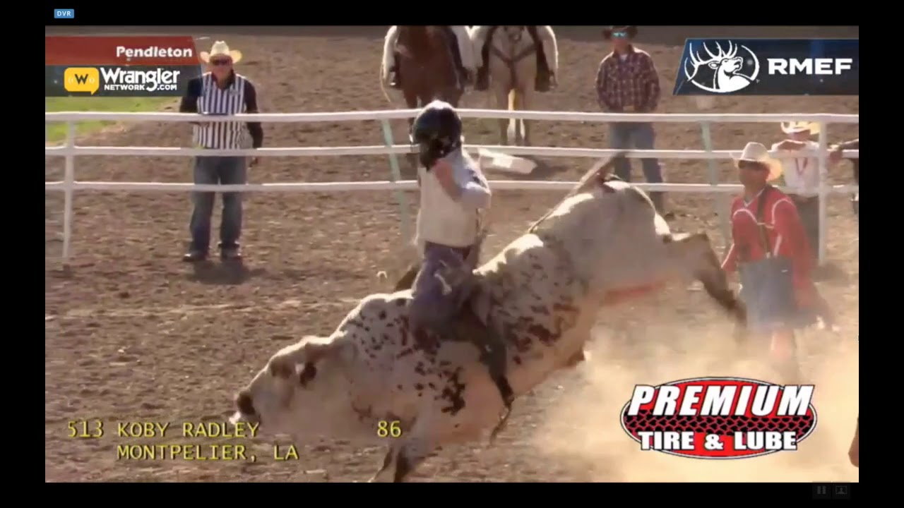 Koby Radley Wins Friday Bull Riding at 2019 Pendleton Round-Up - YouTube