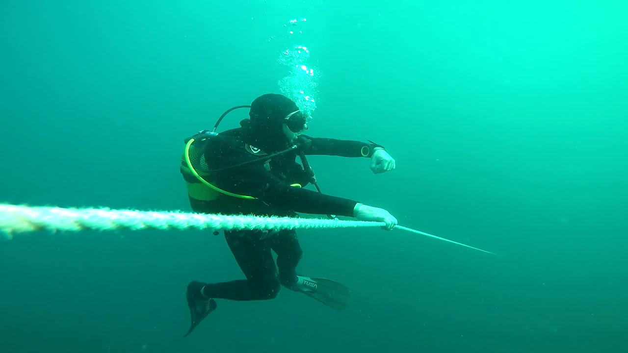 Scuba Diving In Algarve, Portugal - YouTube