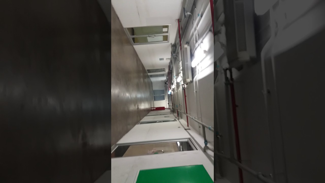 Siam kit 3 - YouTube