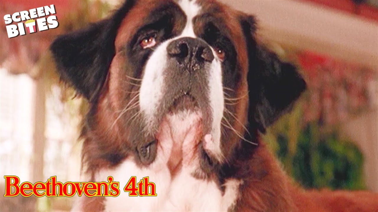 Naughty Beethoven Angers Richard And Julia | Beethoven's 4th | Screen ...