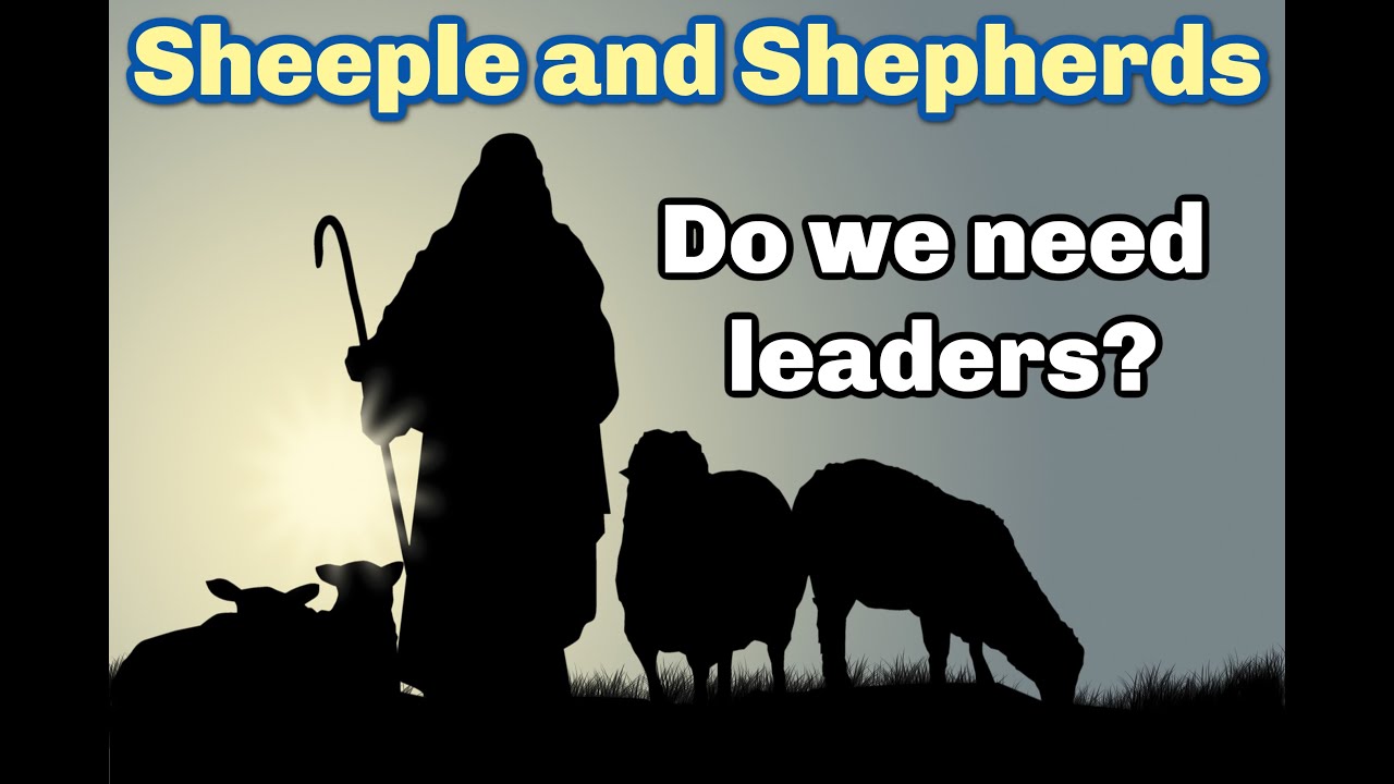 Sheeple and Shepherds - YouTube