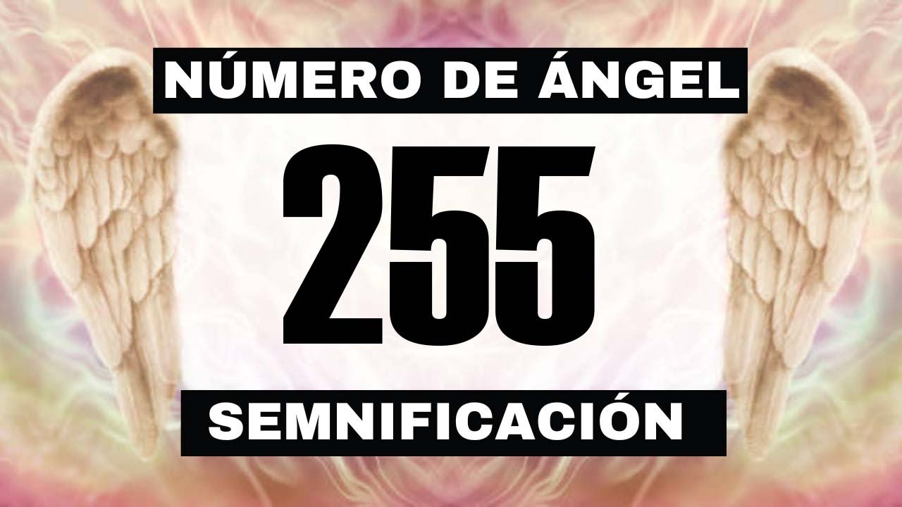 Por qué sigues viendo el número de ángel 255? El significado más ...