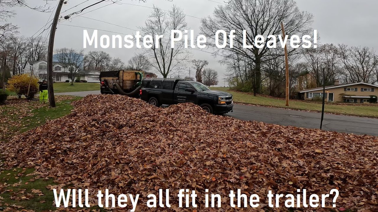 Monster Pile Of Leaves! || Curbside Pickup || Biggest Pile Of The Year ...