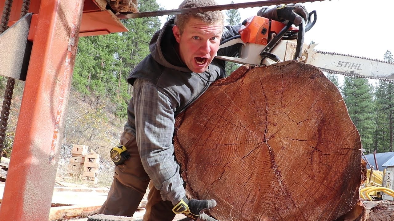 THIS TREE IS HUGE! (Sawmills in Action) - YouTube