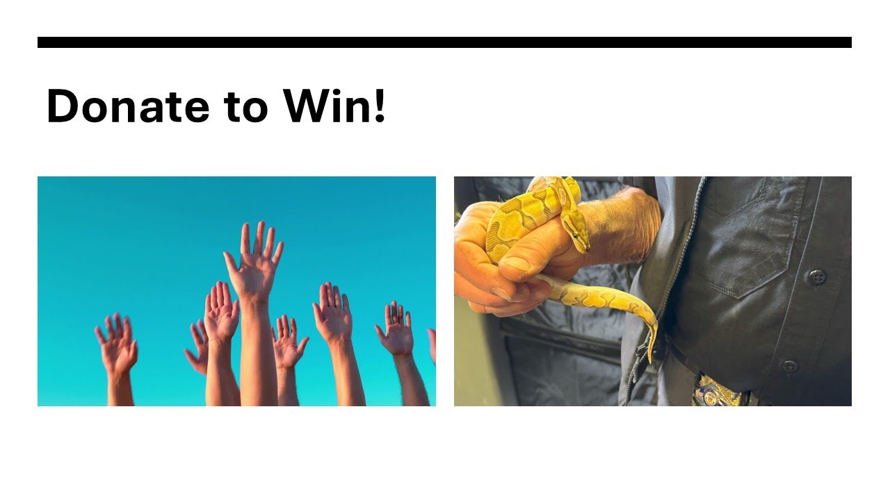 Donate to Win! - YouTube