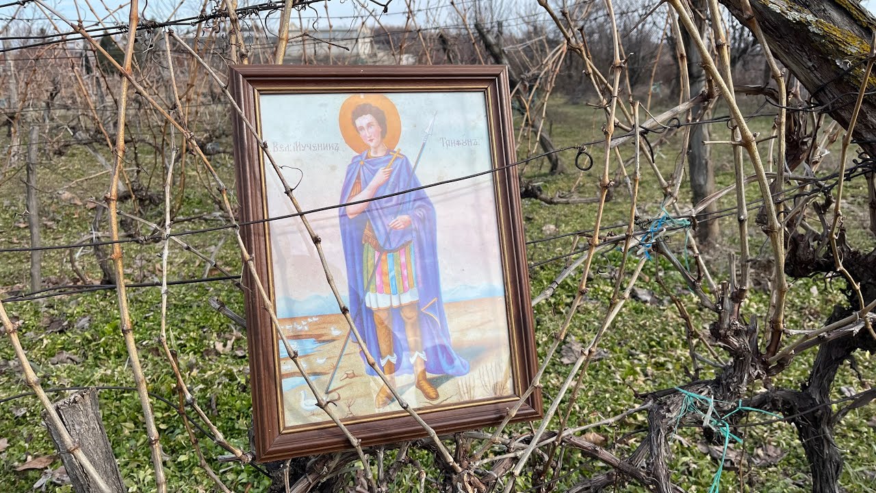 TANJUG - Trifundan u srpskoj Toskani - YouTube