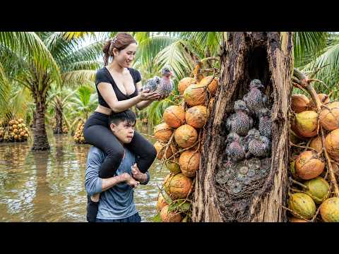 Harvesting Fire Coconuts to Sell ❗ Discovered a Hidden Treasure & The Birds Had Been Guarding It