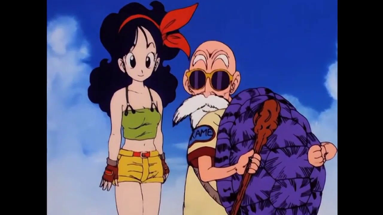 Master Roshi And Launch