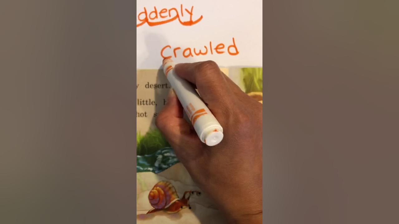 Shared- snails big adventure - YouTube