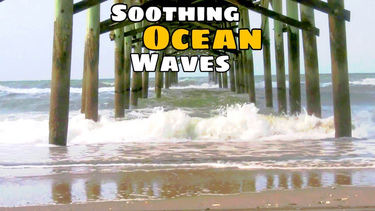 Soothing OCEAN WAVES & SEAGULLS Sleep Sounds: Sea Gull Sounds, Sounds ...