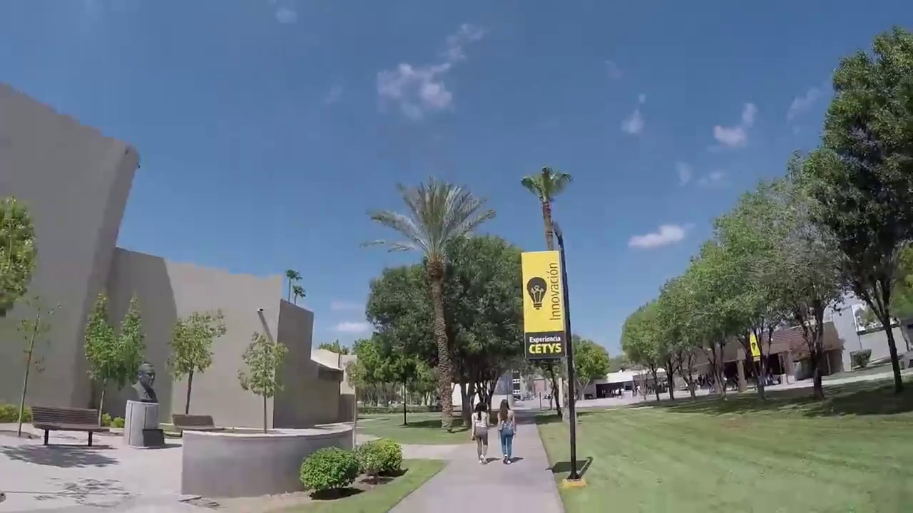 SORTEO DEL CETYS / MI CAMPUS MEXICALI - YouTube