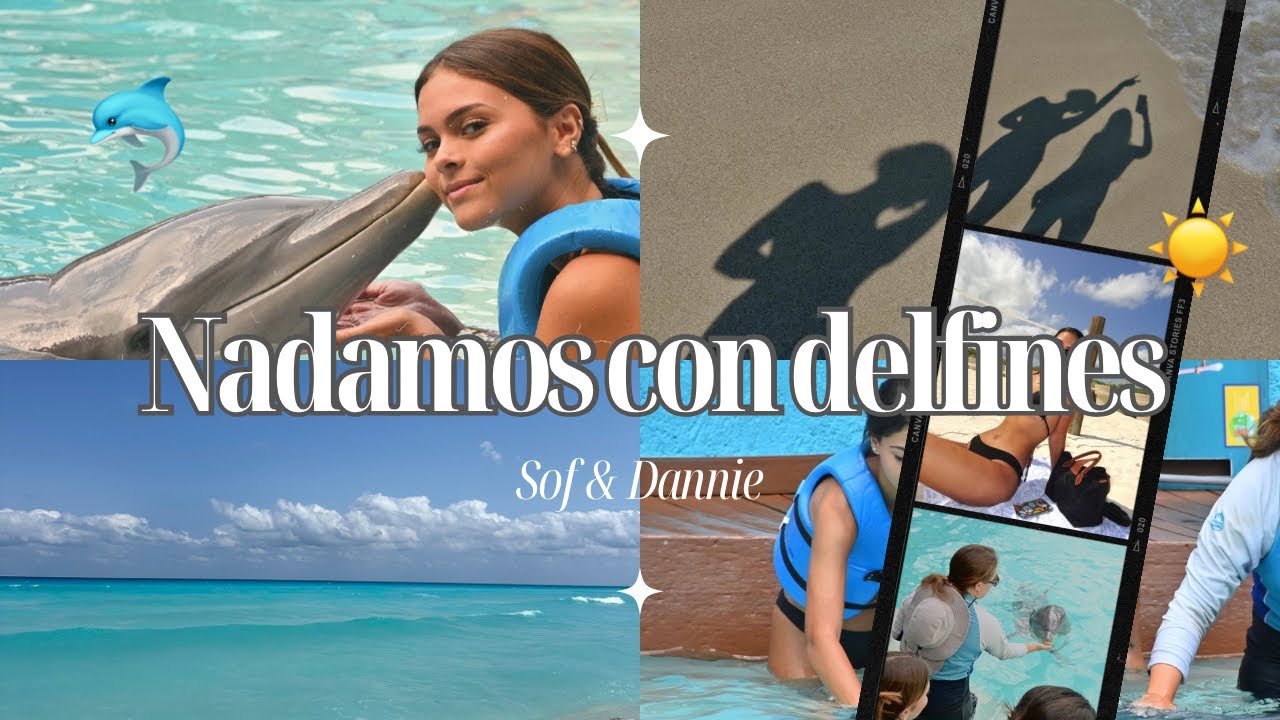 Nadamos con delfines! Sof & Dannie vlog// @danniegrayy & @sofiagoodd - YouTube