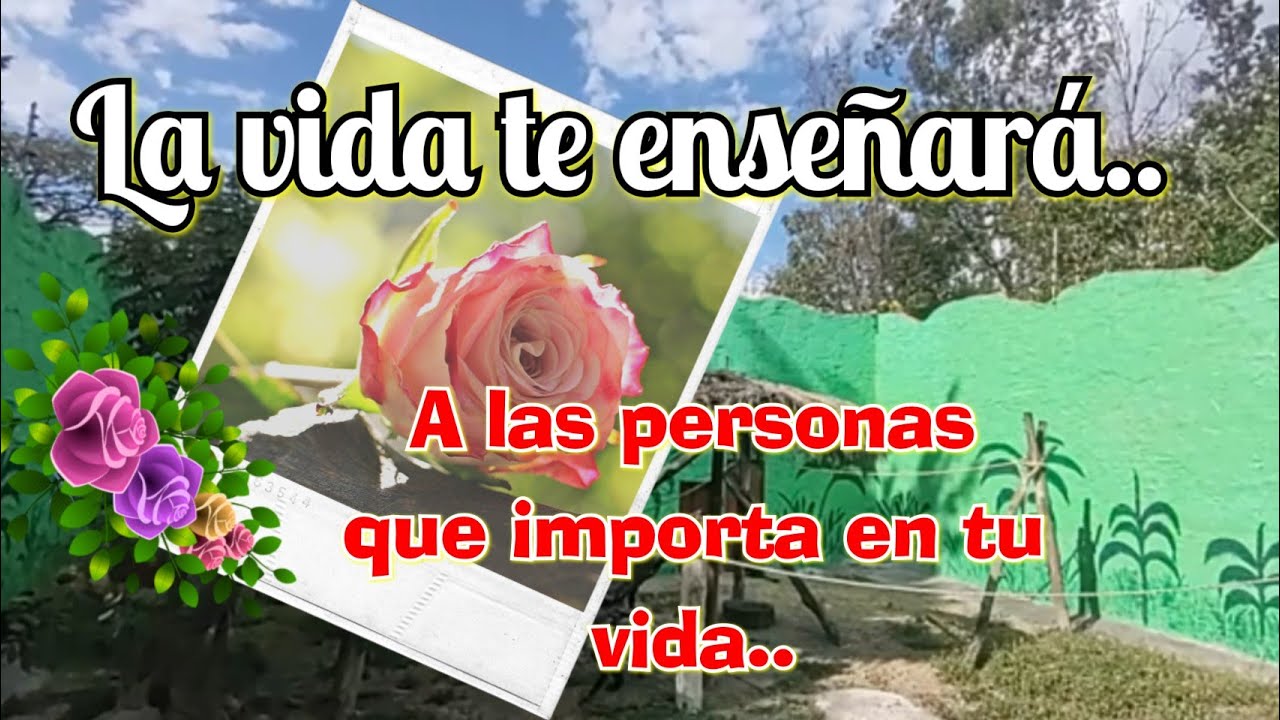 A ti que me lees te deseo un bendecida tarde, LA VIDA TE ENSEÑARA A LAS ...