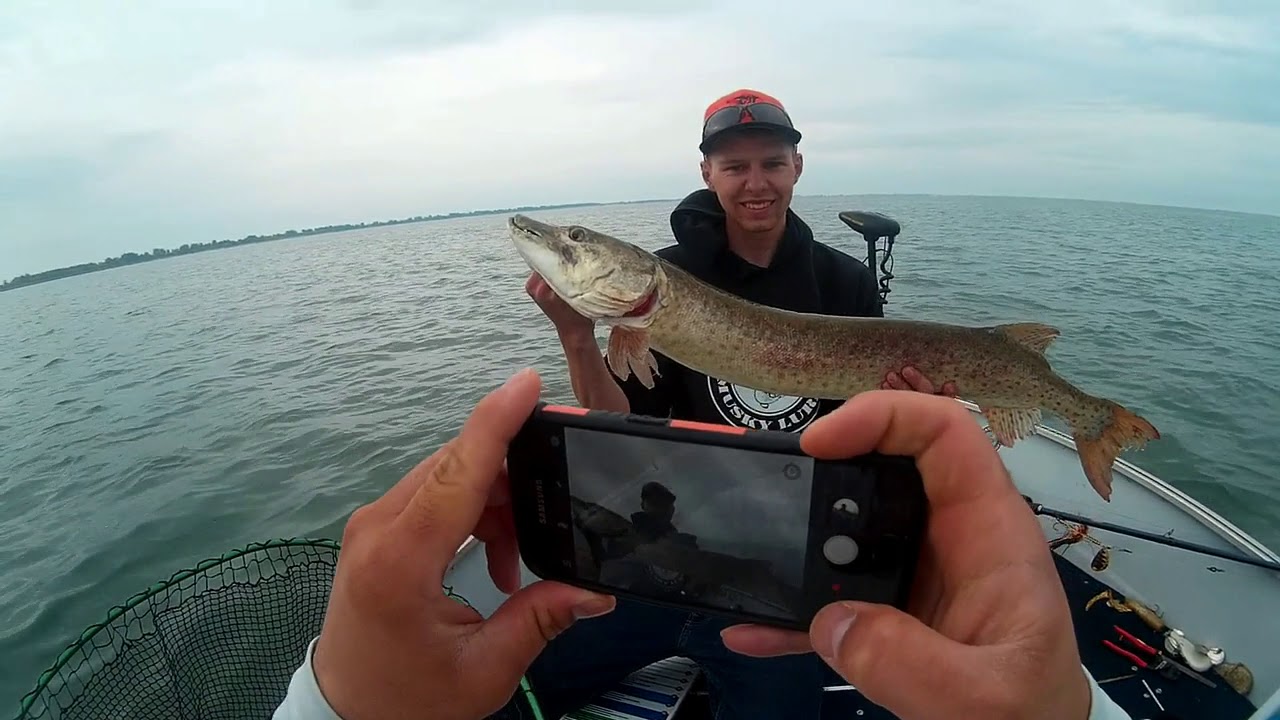Zack's fish - YouTube