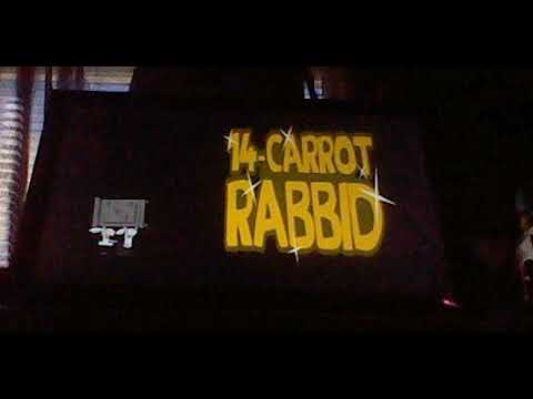 Rabbids Go Home Part37: 14-Carrot Rabbid - YouTube