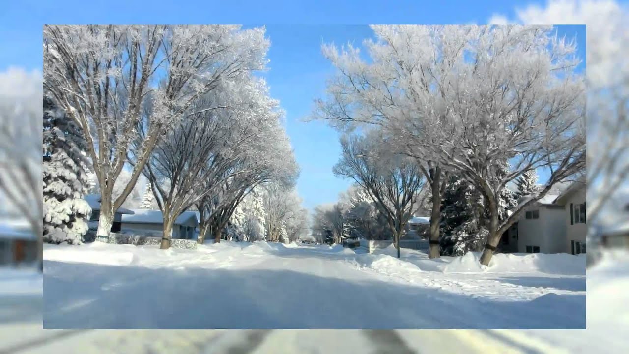 2012-12-20 Regina today (Winter scenes) Home-delivered by nature. w ...