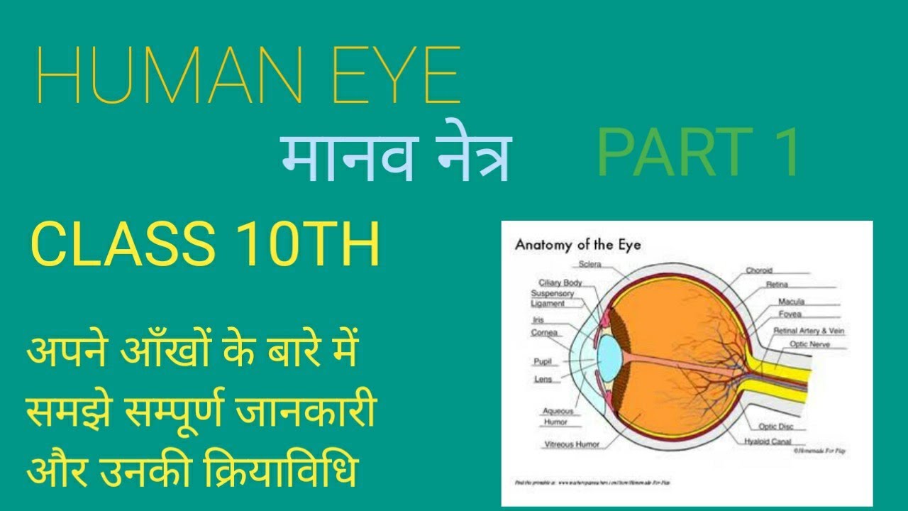 Human Eye(मानव नेत्र) Class 10th Science (physics ) - YouTube