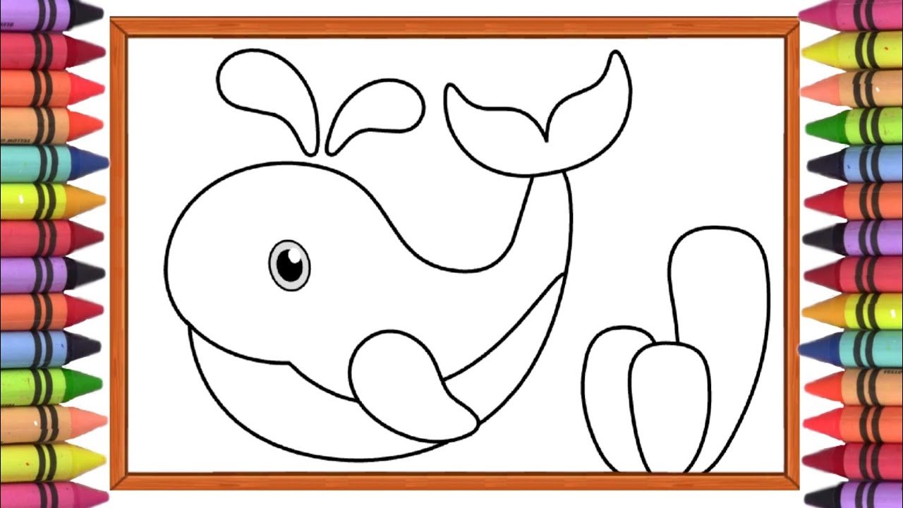 Mewarnai Ikan Paus Biru, Coloring Blue Whale - YouTube