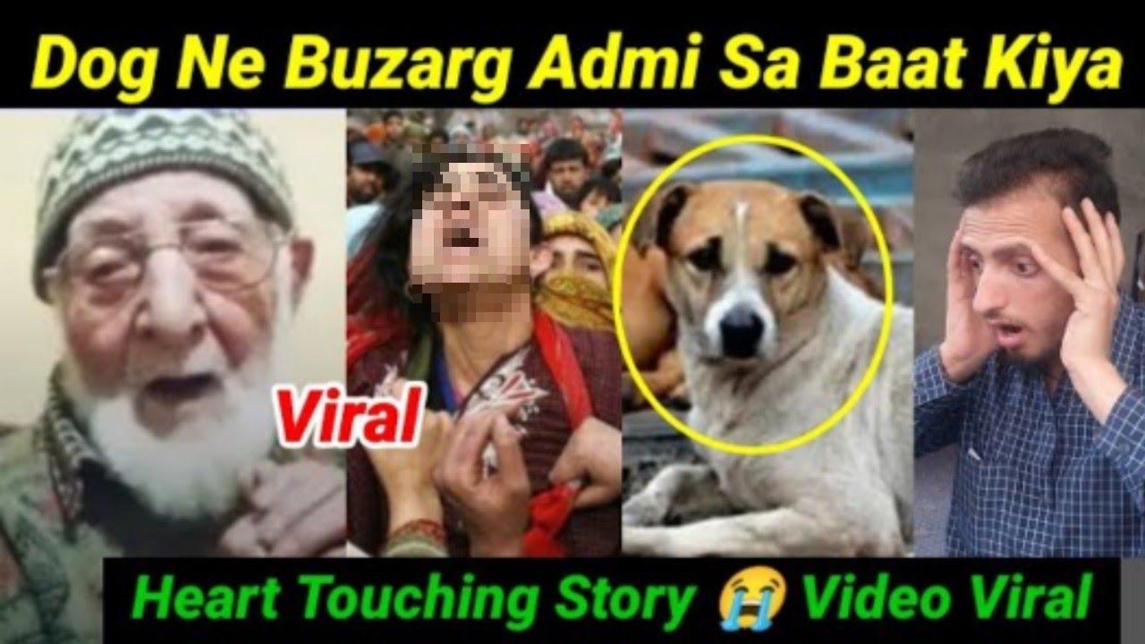 Dog Ne Buzarg Admi Sa Baat Kiya ll Heart Touching Story 😭 Pori Kashmir ...