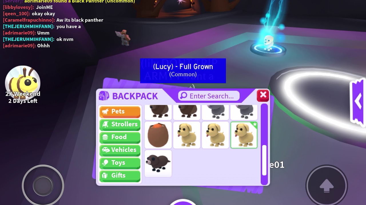 Getting neons pets in adopt me - YouTube