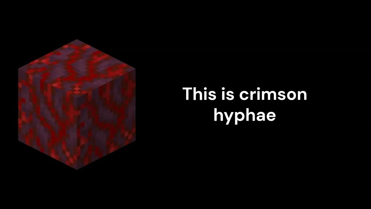 Crimson Hyphae - Minecraft - YouTube