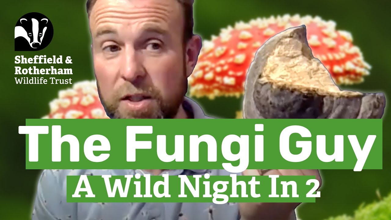 A Wild Night In: The Fantastic World of Fungi with Ali McKernan (aka ...