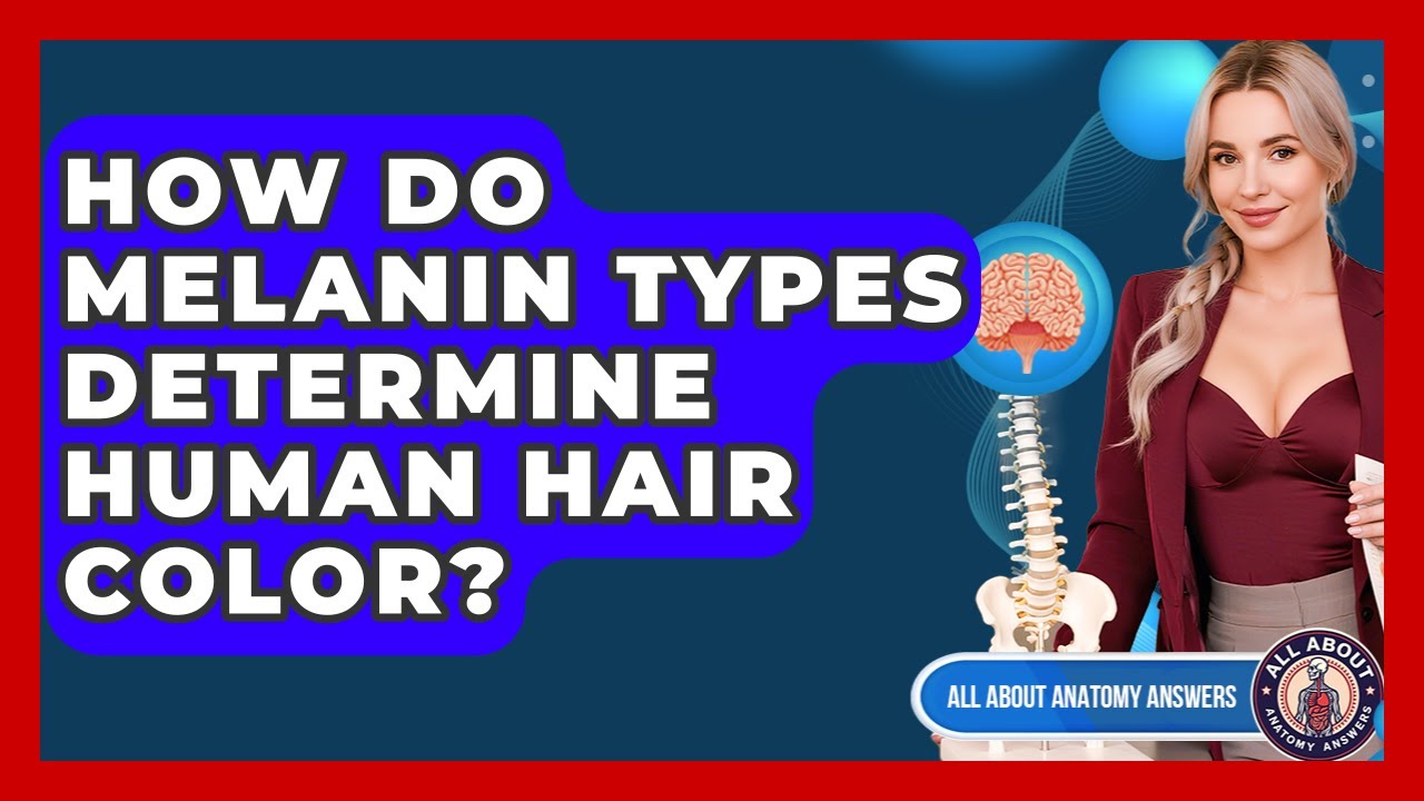 How Do Melanin Types Determine Human Hair Color? - All About Anatomy ...