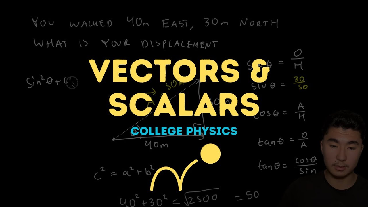 Vectors & Scalars - YouTube
