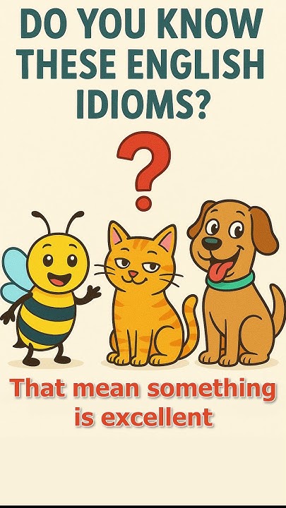 Three Strange English Idioms That Mean ‘Excellent’ - YouTube