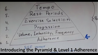 The Muscle and Strength Training Pyramid - YouTube