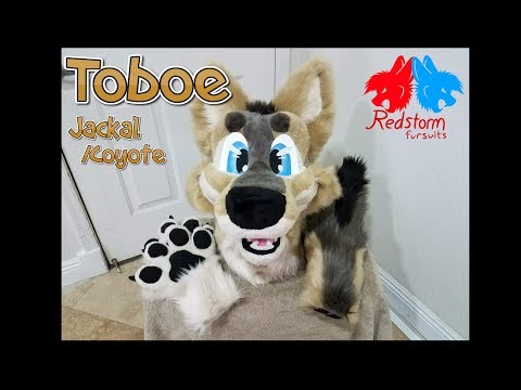 Jackal/coyote partial premade
