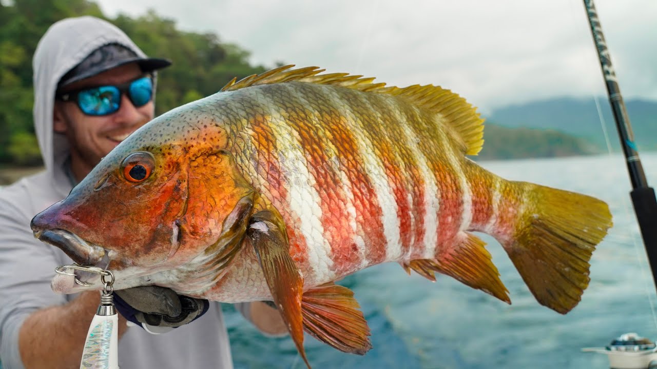 Exotic Monsters In Jungle Paradise! Catch Clean & Cook - YouTube