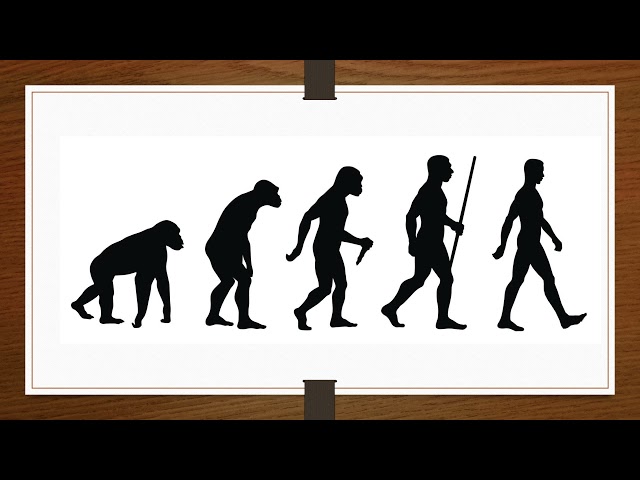 Diferencia entre Individuo y Persona: ¿Qué es exactamente?