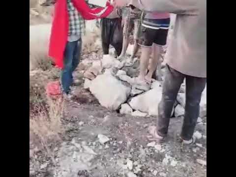 hacı mustafa can adina dalgalan