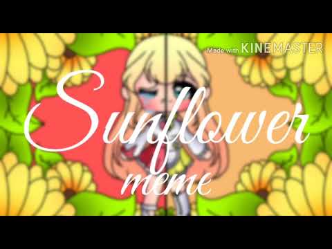 Sunflower meme - YouTube